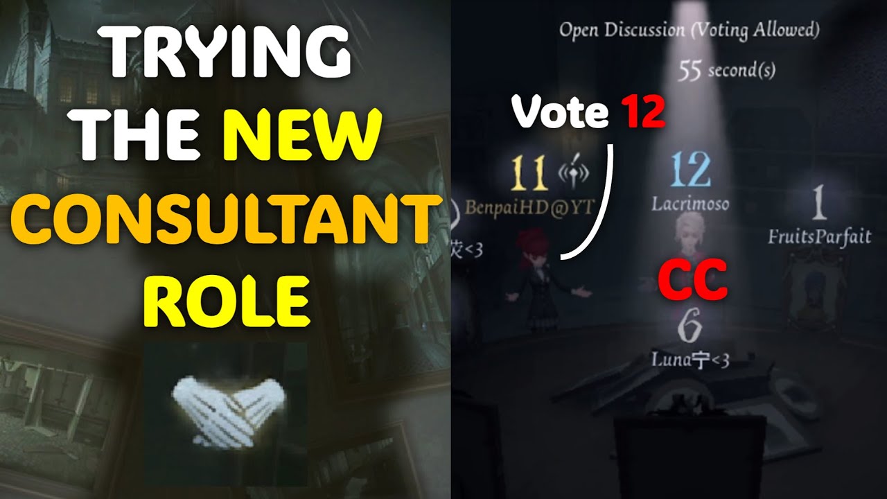 IDV CC#12 - CONSULTANT Is The BEST Role - YouTube