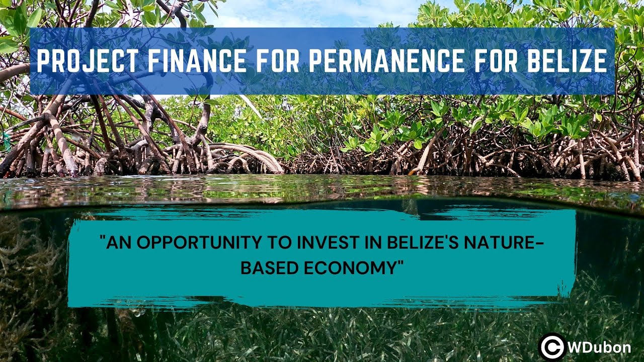 Project Finance for Permanence for Belize: An Opportunity to Invest in ...