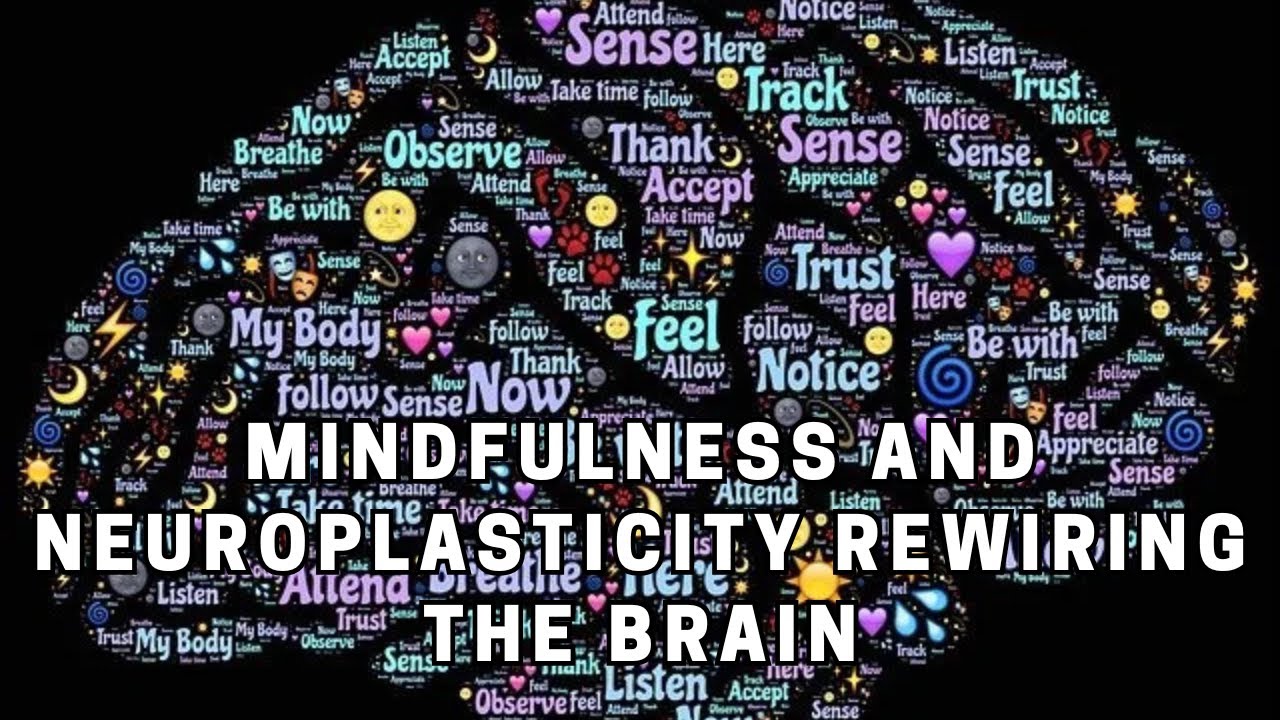 Mindfulness and Neuroplasticity Rewiring the Brain - YouTube