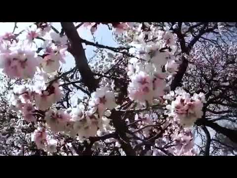 Yabujin - 302? ionwan2go (piano version) loop best part