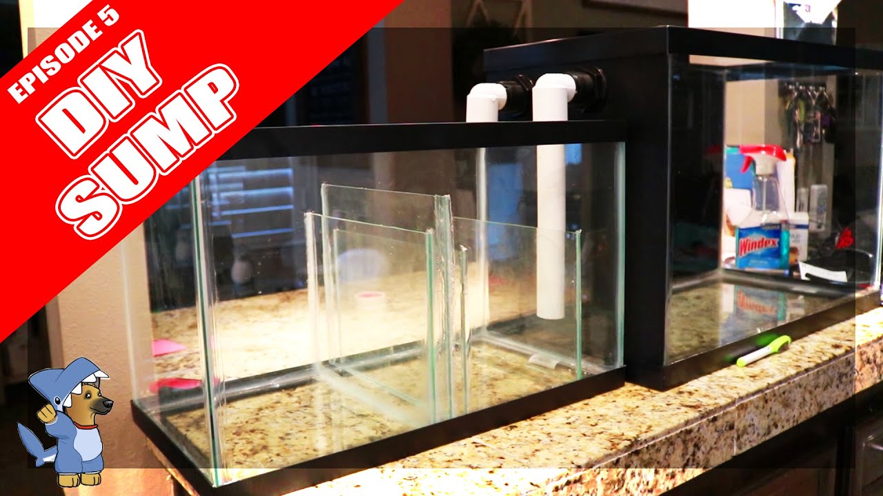 BUILDING THE SUMP - YouTube