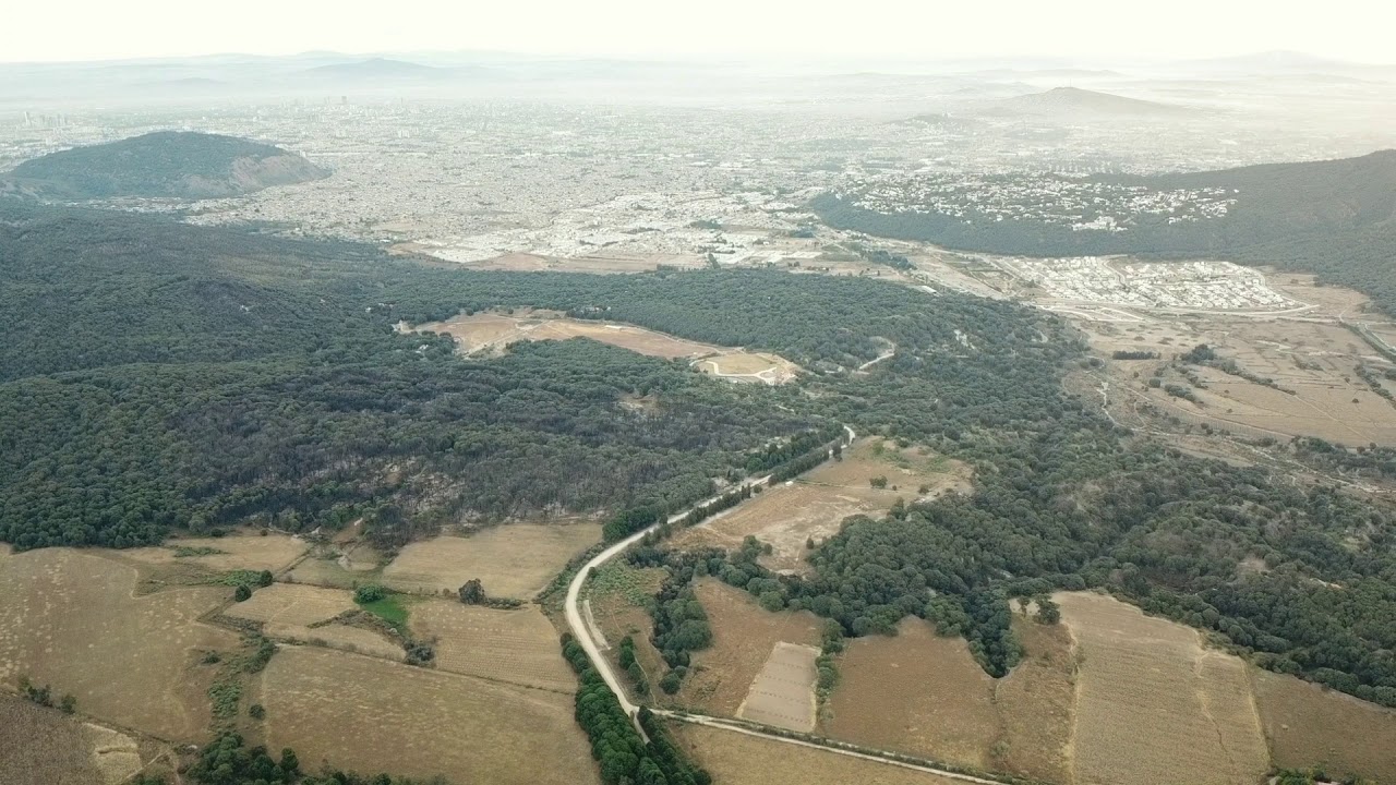 Bosque de la Primavera. 2.ª parte (Spring forest). 500m altitude drone ...