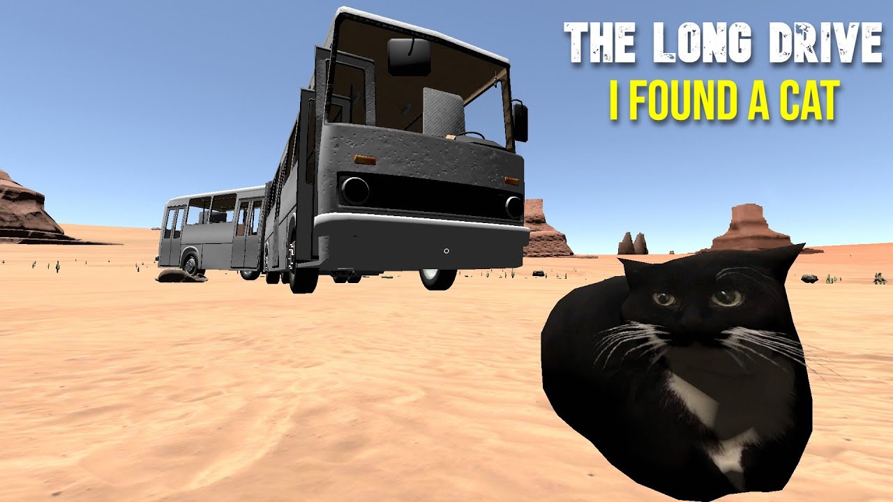 I Found a Cat | The Long Drive - YouTube