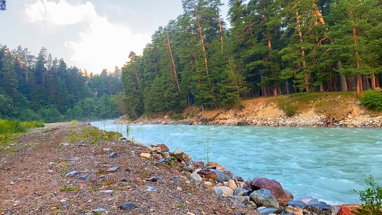 Calming Blue Forest River. Relaxing Nature Sounds. (10 hours). White noise for sleeping. - YouTube