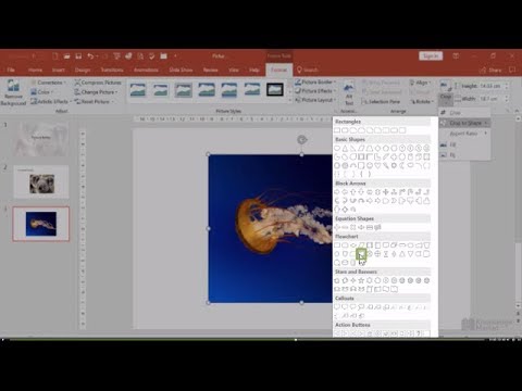 PowerPoint 2016/365 - Crop a Picture to a Shape - YouTube
