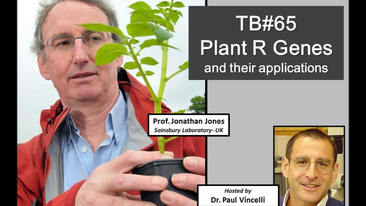 Talking Biotech 065 - Plant R Genes, Pathogens and Applications - YouTube