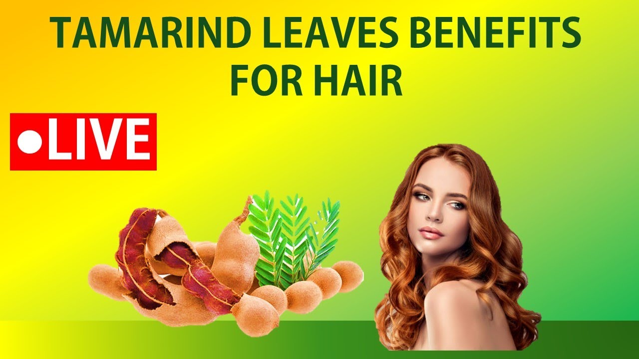 Tamarind Leaves Benefits for Hair: Nourishing Your Tresses Naturally! 🌿 ...