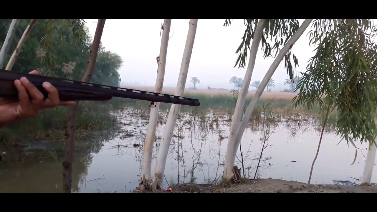 Failed Duck Hunting { Missed In The Line Of Fire } - YouTube