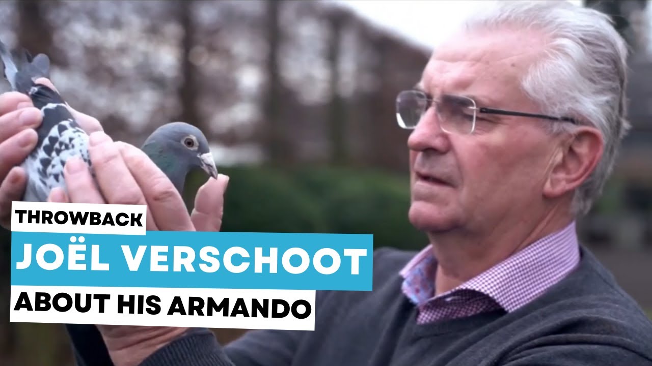 Throwback to 2019: Joël Verschoot about Armando - YouTube