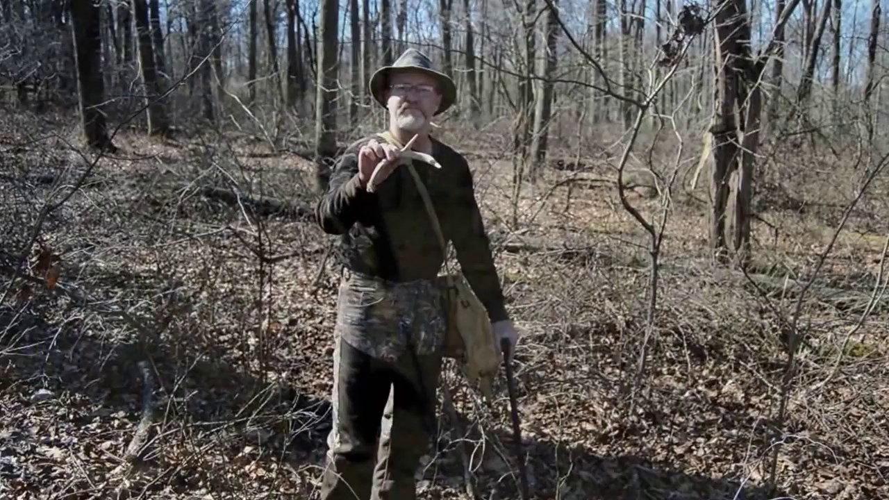 Pennsylvania Shed Antler Hunting 2017 - YouTube