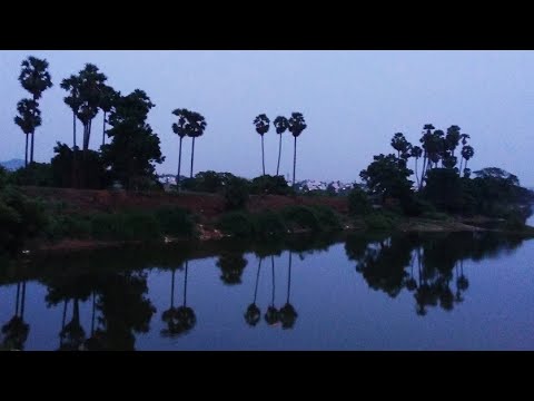 #Today's mudichur lake view (Chennai Tambaram) இன்றைய முடிச்சூர் ஏரி ...