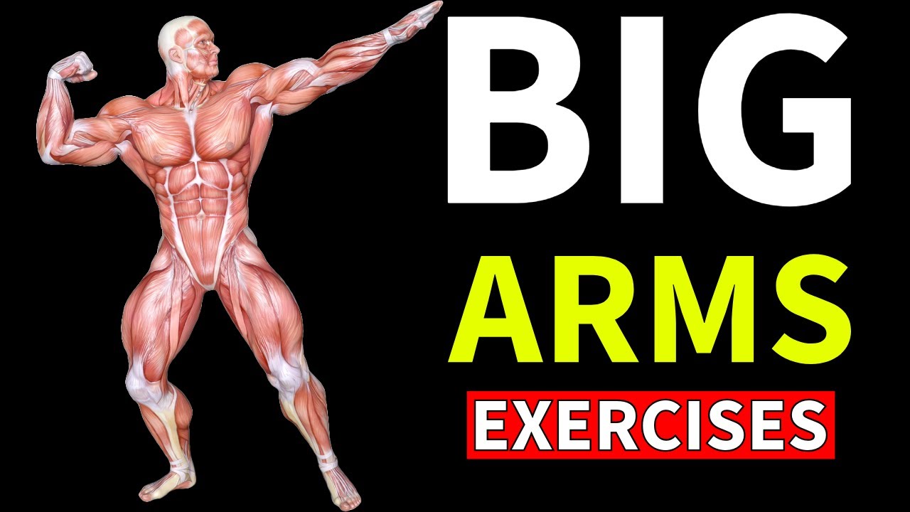 Want Big Arms? Here is your Ultimate Guide. - YouTube