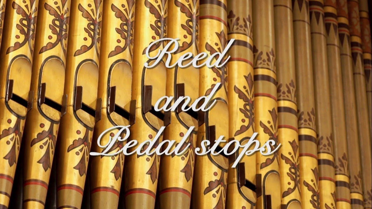 Reed stops and Pedal stops - YouTube