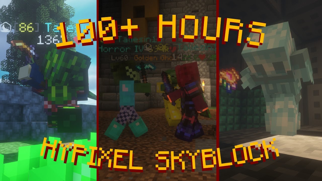 I grind 100 HOURS to level my skill in Hypixel Skyblock!! (Minecraft ...