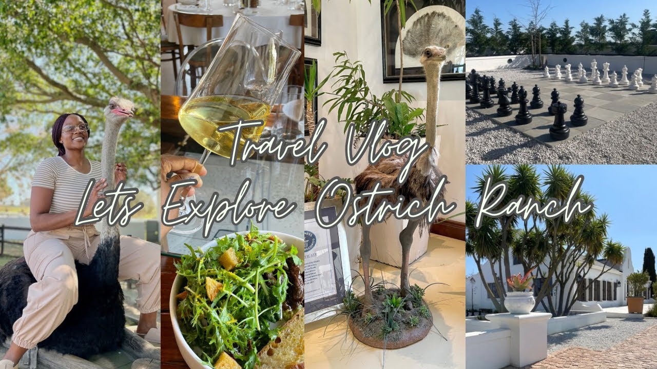 #vlogtober Ep1: Explore the Ostrich RanchI I sat on an Ostrich| Ostrich ...