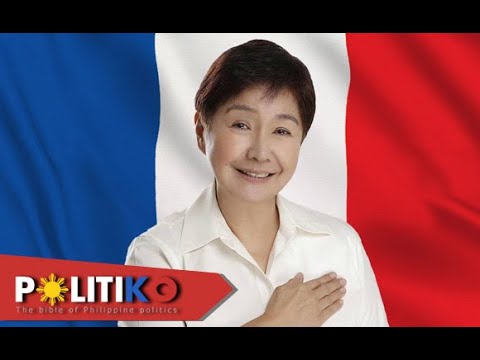 From Sec to Amba! Naida Angping appointed next PH envoy to France - YouTube