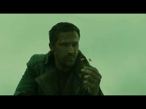 You look lonely... I can fix that (Bladerunner 2049 edit) - YouTube