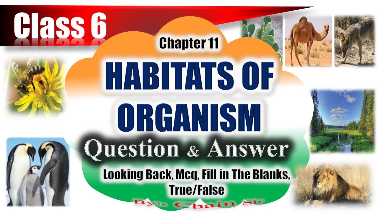 Class 6 Science Chapter 11 Question Answer | Habitats of Organism ...
