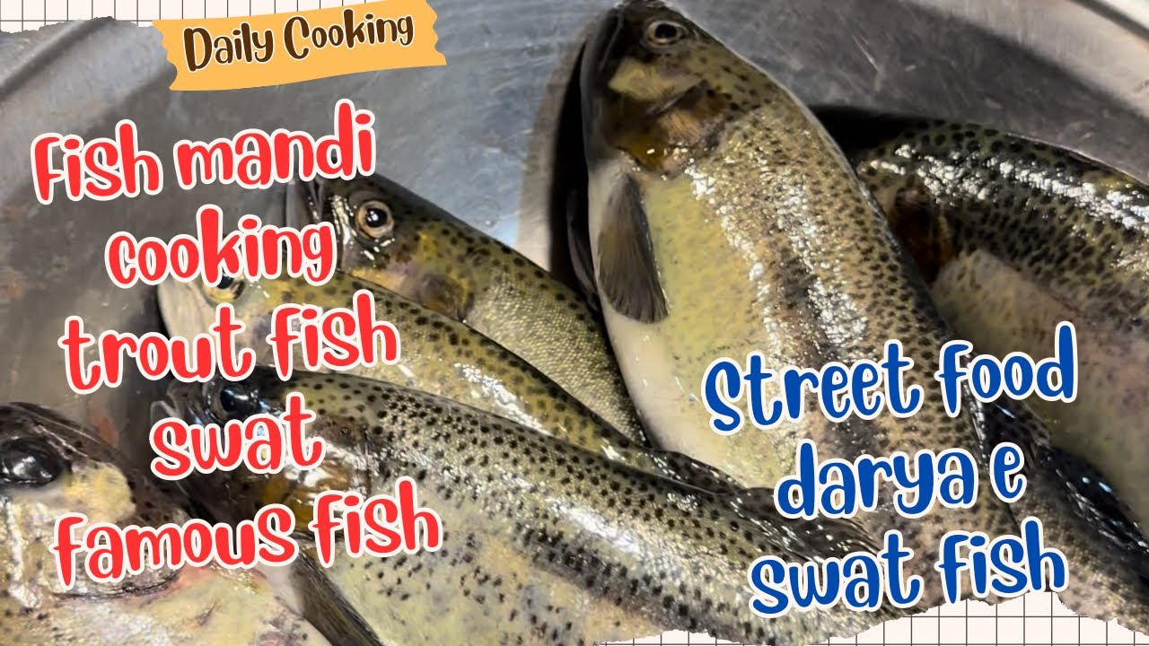 Cooking Fish | Fish mandi swat | trout fish different type fish ...