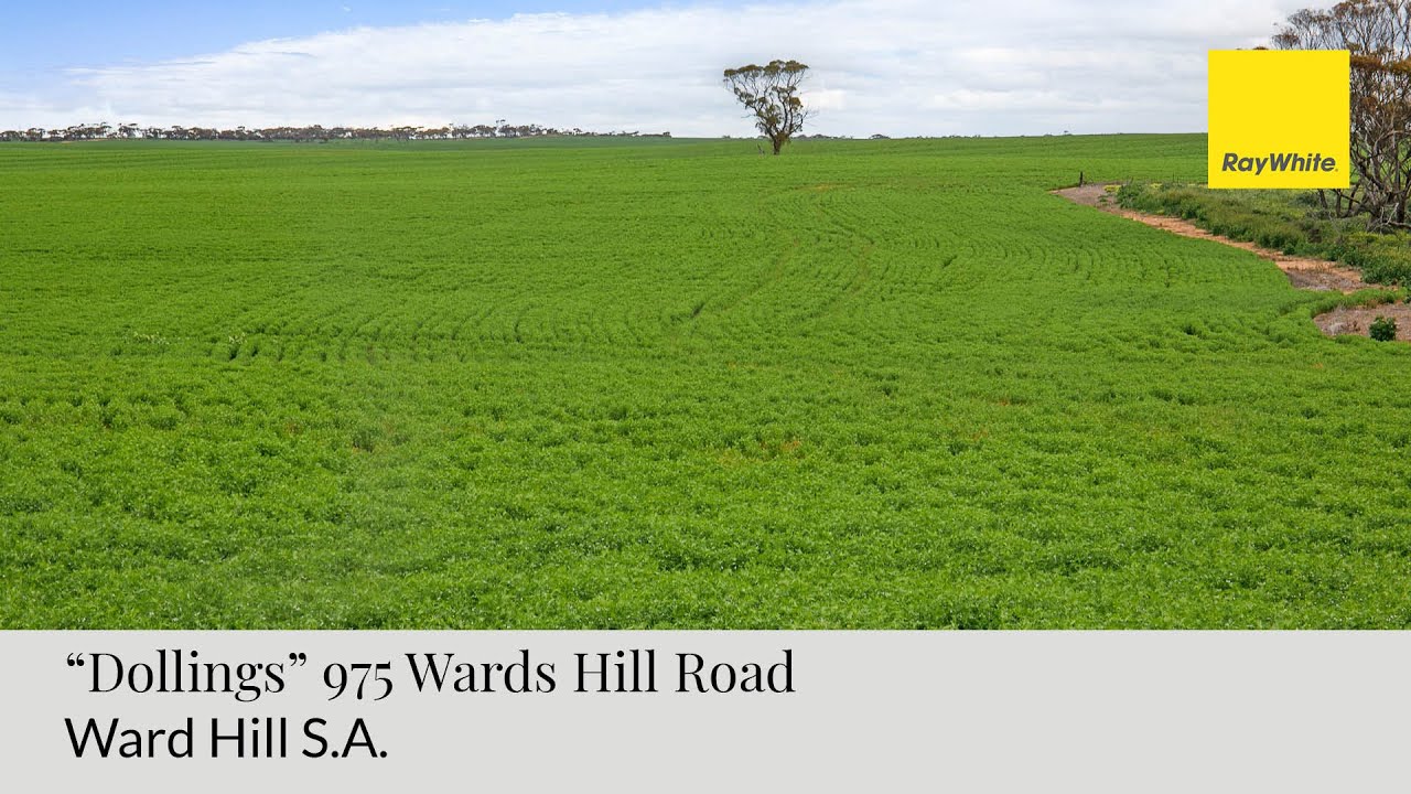 975 Wards Hill Road, Ward Hill, South Australia - YouTube