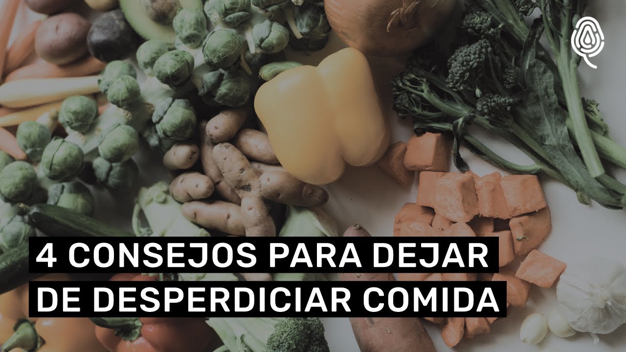 4 consejos para dejar de desperdiciar comida - YouTube