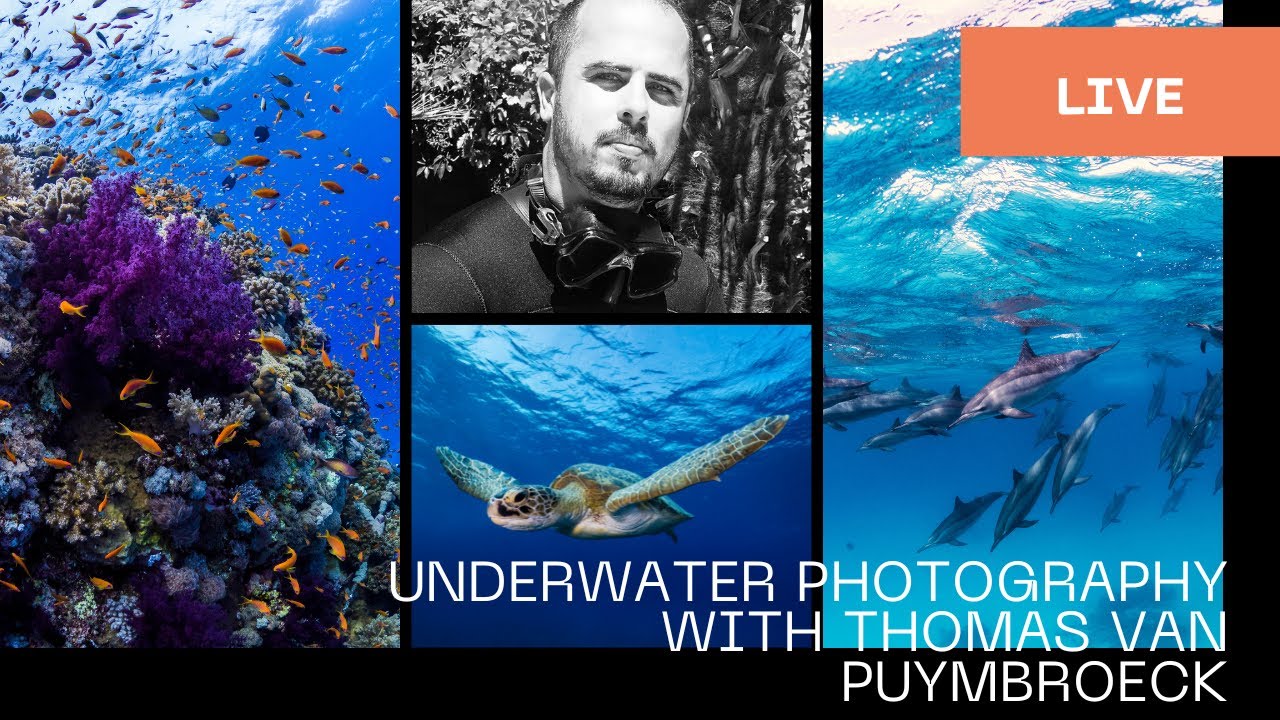 Underwater photography with Thomas Van Puymbroeck - YouTube
