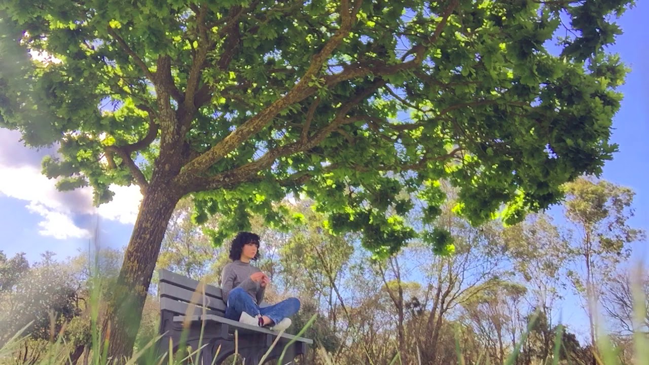 compass (visualizer), sitting under tree for 3 minutes and 38 seconds ...