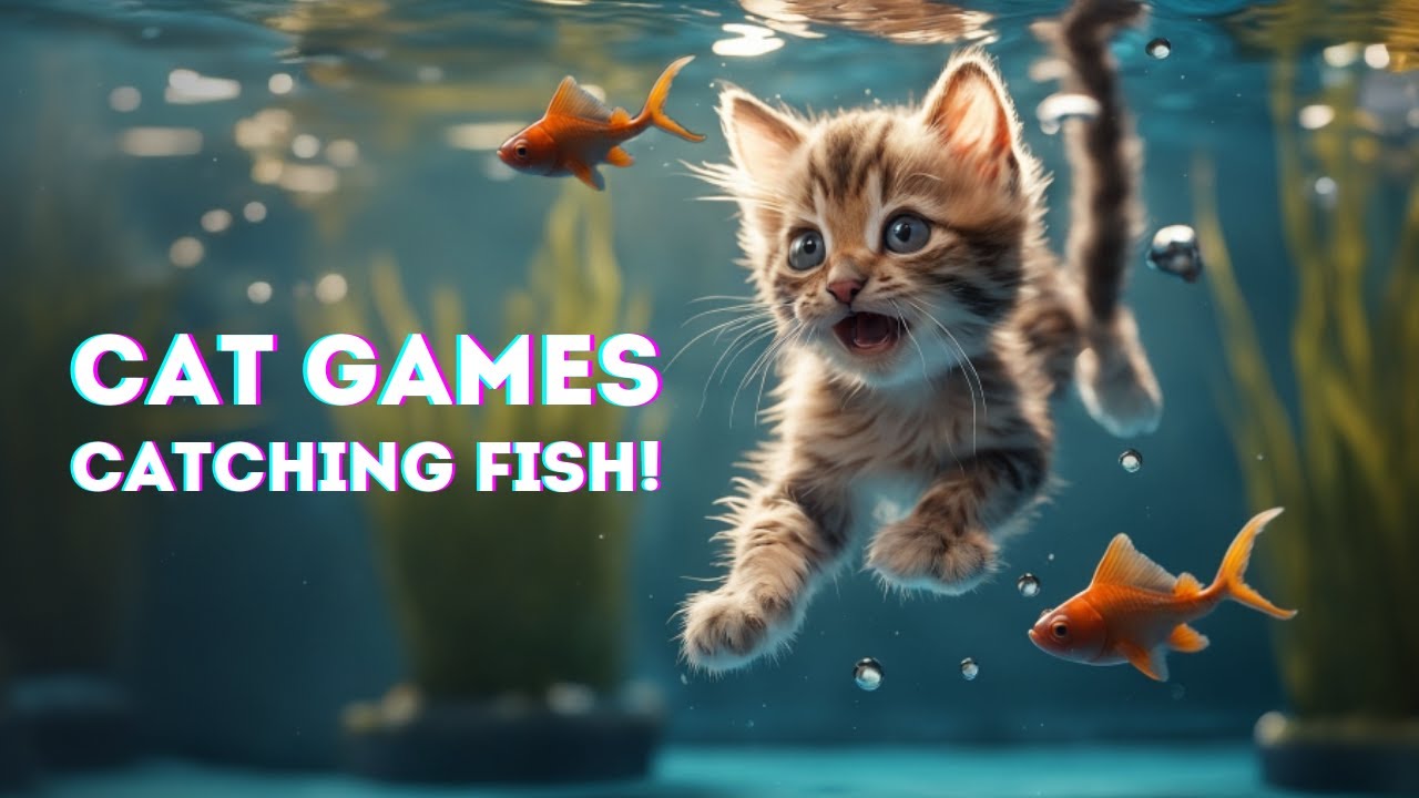 CAT TV. 😸📺 Cat Games: Watch Cats Catch a fish! - YouTube