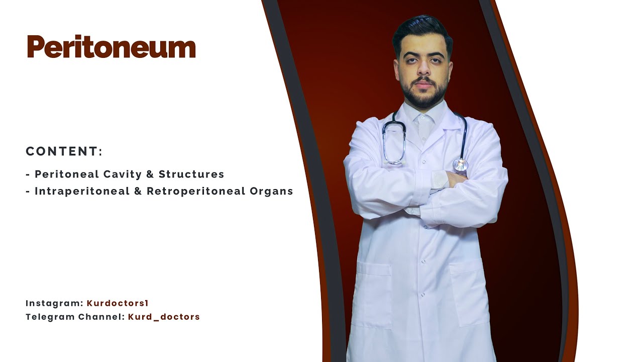 Digestive system | Anatomy | Peritoneum & hernia (part 1) - YouTube