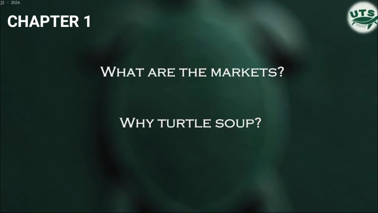 ROMEO UTS 2024 COURSE CHAPTER 1 WHAT ARE THE MARKETS ? WHY TURTLE SOUP ...
