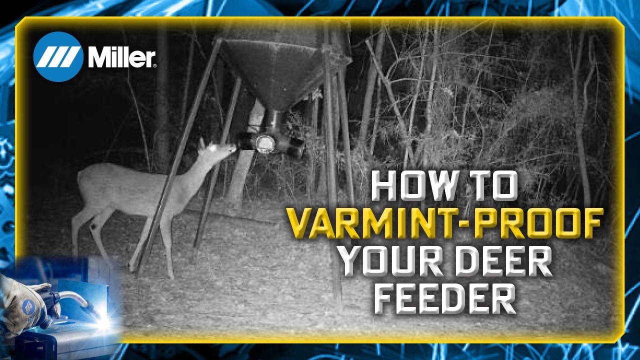 How to Varmint-Proof Your Deer Feeder - YouTube