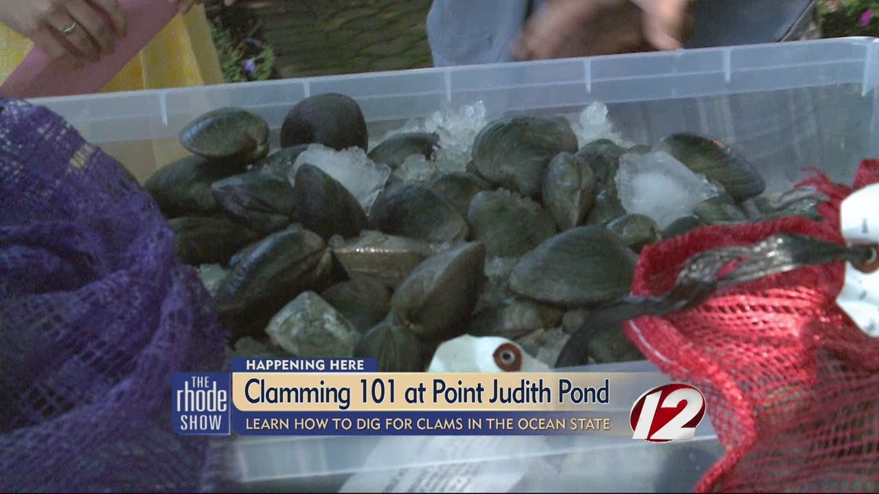 Clamming 101 at Point Judith Pond - YouTube
