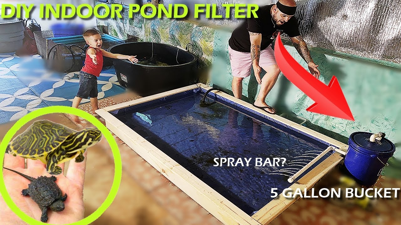 DIY INDOOR POND FILTER + BABY TURTLES - YouTube