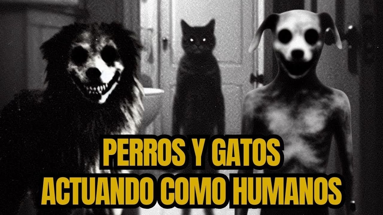 Perros y Gatos Actúan COMO HUMANOS! ¿Fenómeno Paranormal? - YouTube