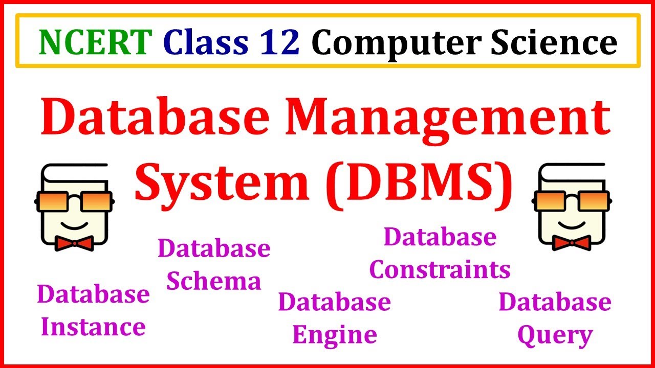 Database Management System Dbms Database Schema Instance