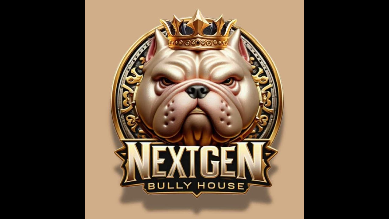 NexGen Bully House - YouTube