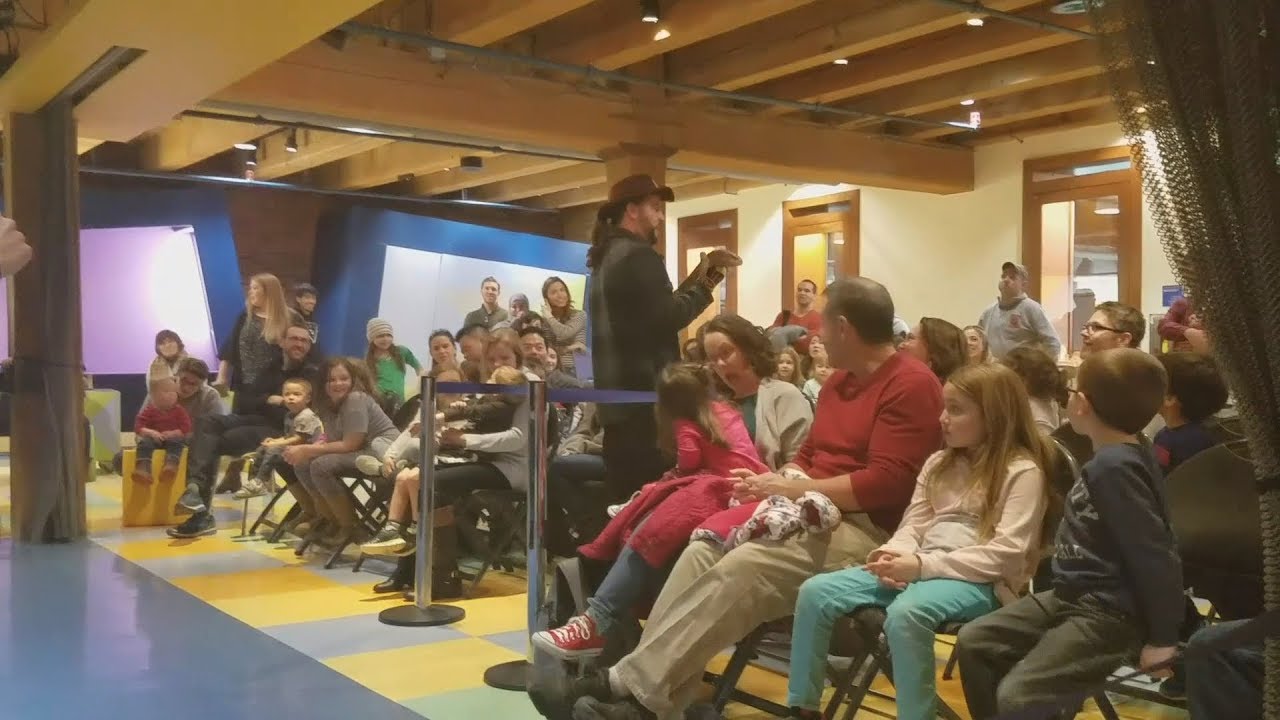Animal World Experience at the Boston Children's Museum - YouTube