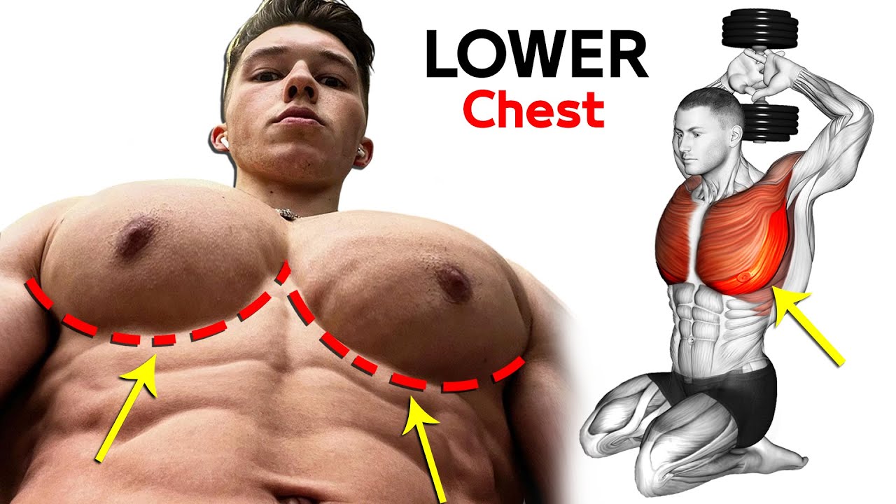 ️ Best Lower Chest Workout | Try it and you will see results - YouTube