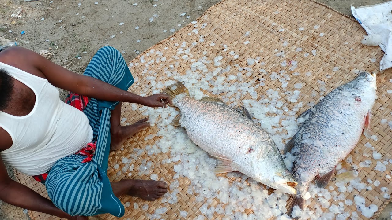 Tarua Sea Beach,Dhal char,Charfasson,Bhola. - YouTube