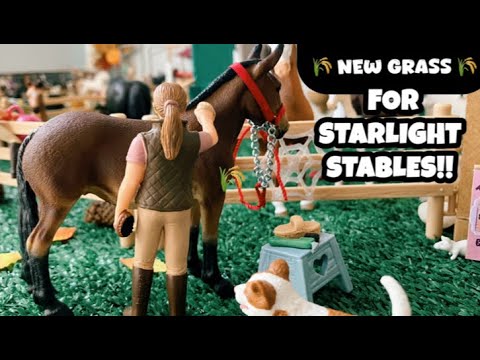 New Grass Layout!! (Starlight Stables Project Part 1) - YouTube