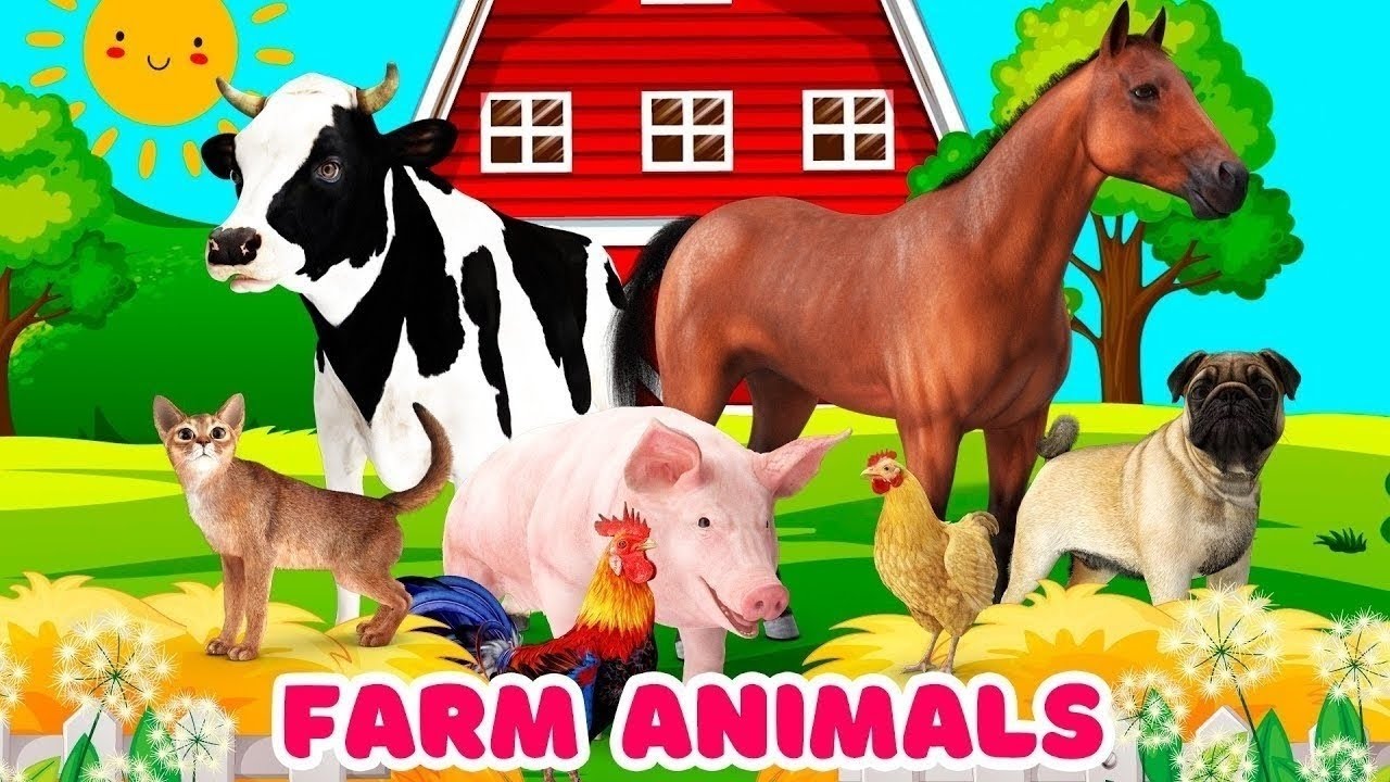 "Farm Animals Song for Toddlers | Fun Educational Video" - YouTube