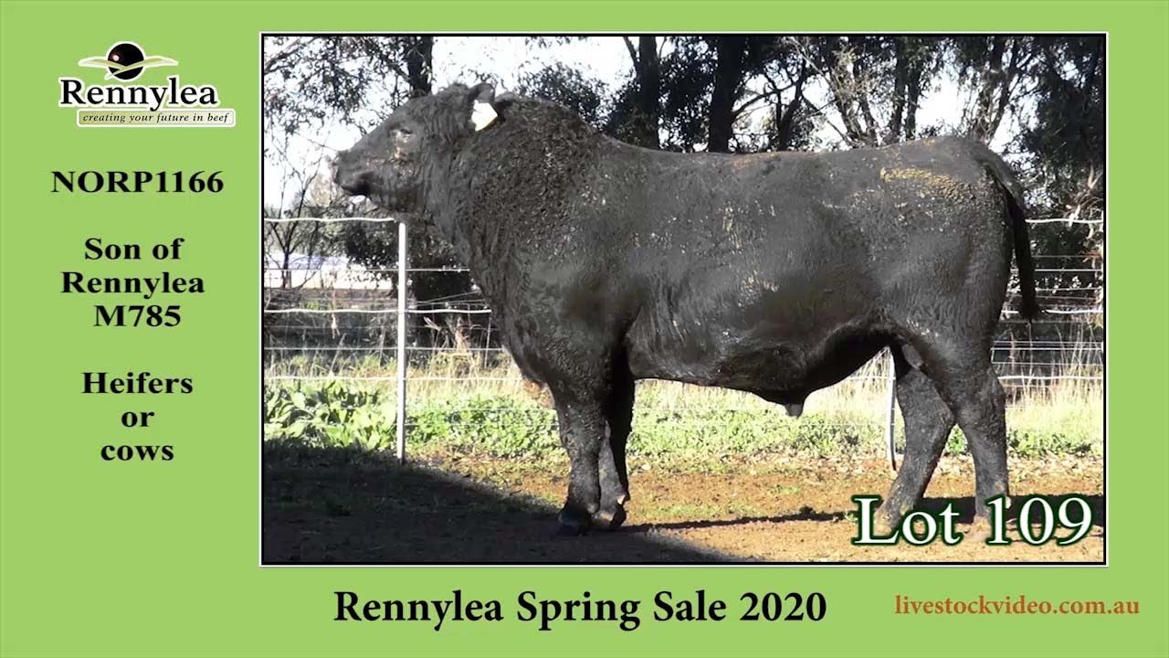 Lot 109 Rennylea Spring 2020 - YouTube