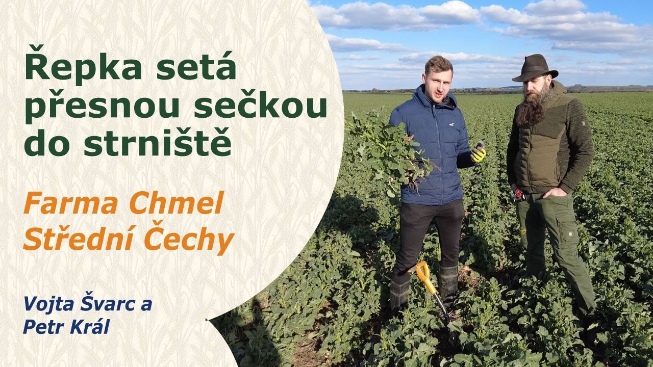 Řepka setá přesnou sečkou přímo do strniště | Farma Chmel | Vojta Švarc ...