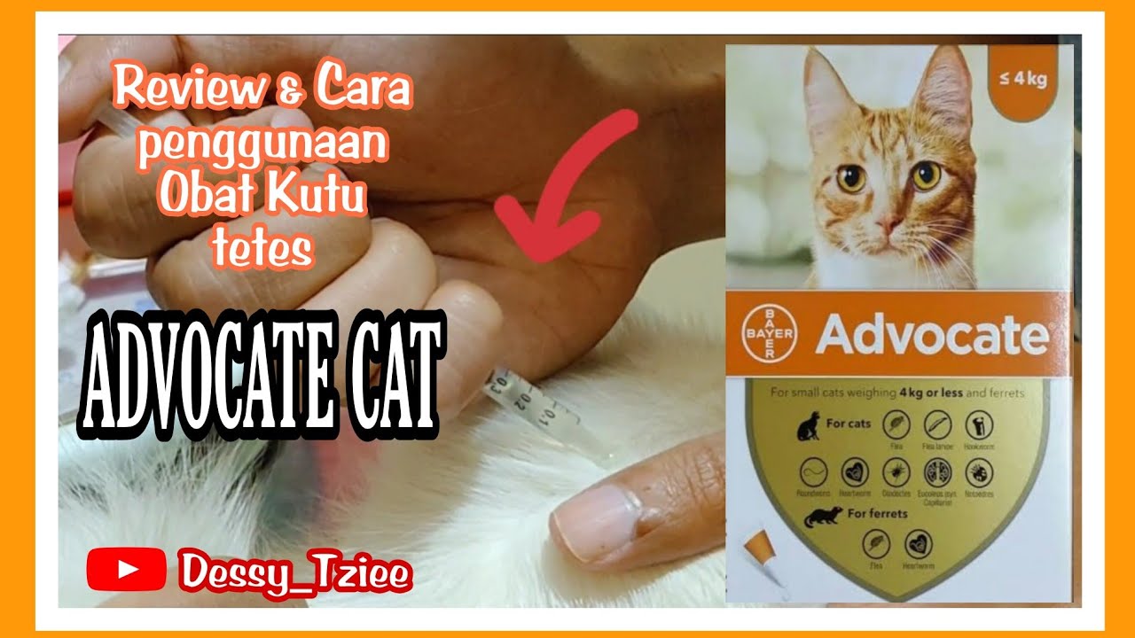 Manfaat & Cara penggunaan Advocate Cat obat tetes Kutu&Cacing ...