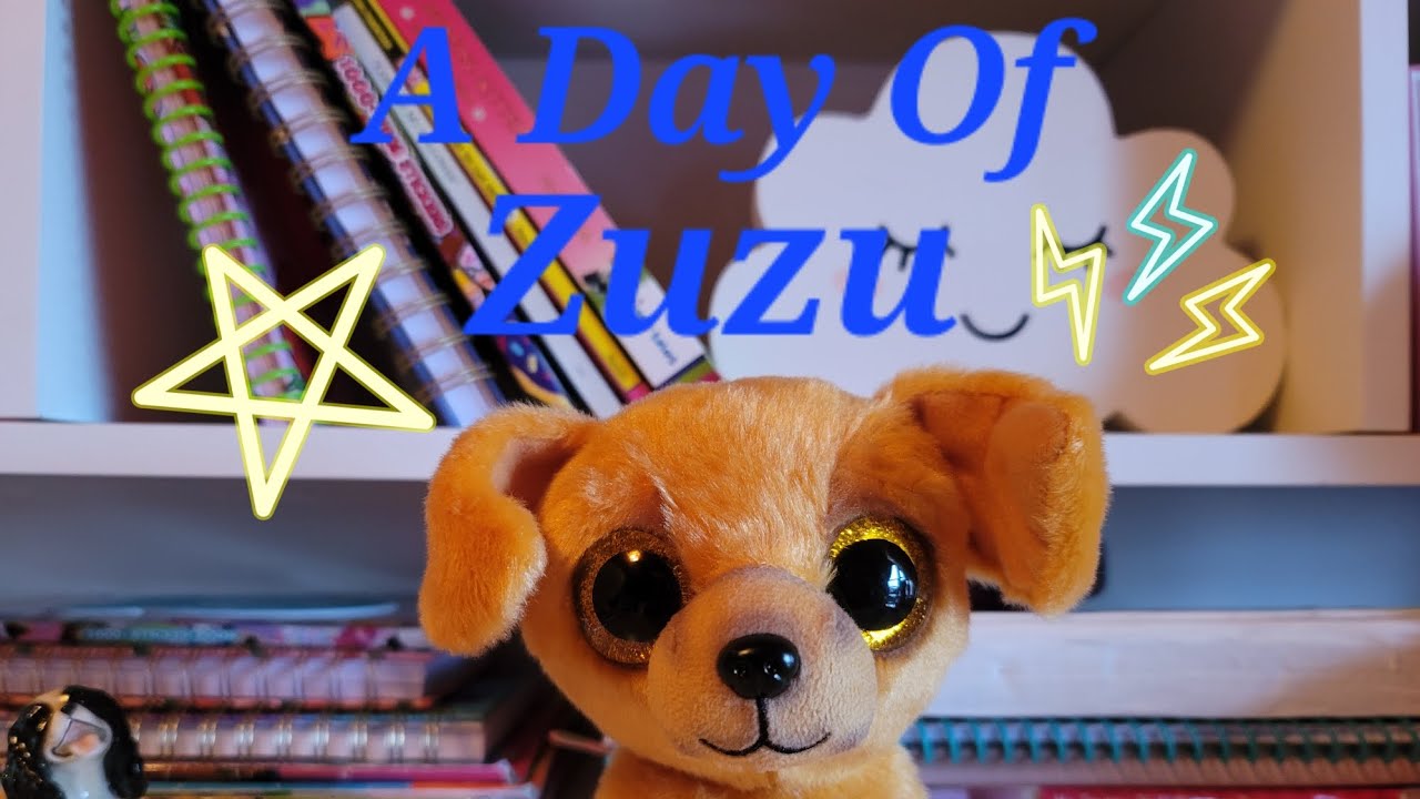 A Beanie Boo short film, A Day Of Zuzu!!! - YouTube