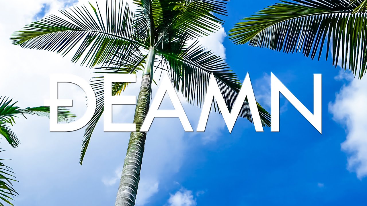 DEAMN - Seventeen / Save Me (Albums) 1 Hour 4K Lyrics - YouTube