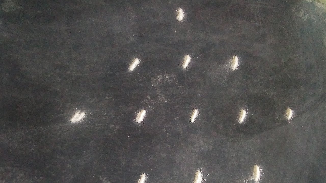 Small muggu||easy rangoli||daily muggu design||5 by 1 dots ||rangoli ...