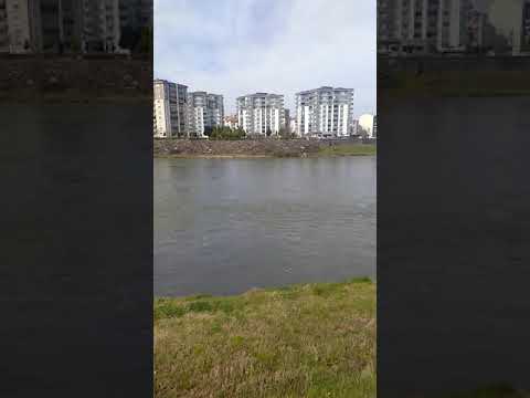 SAMSUN ÇARŞAMBA YILAN KORTUNMU🐍🐍🐍🐍🐍🐊🐟🐡🐠