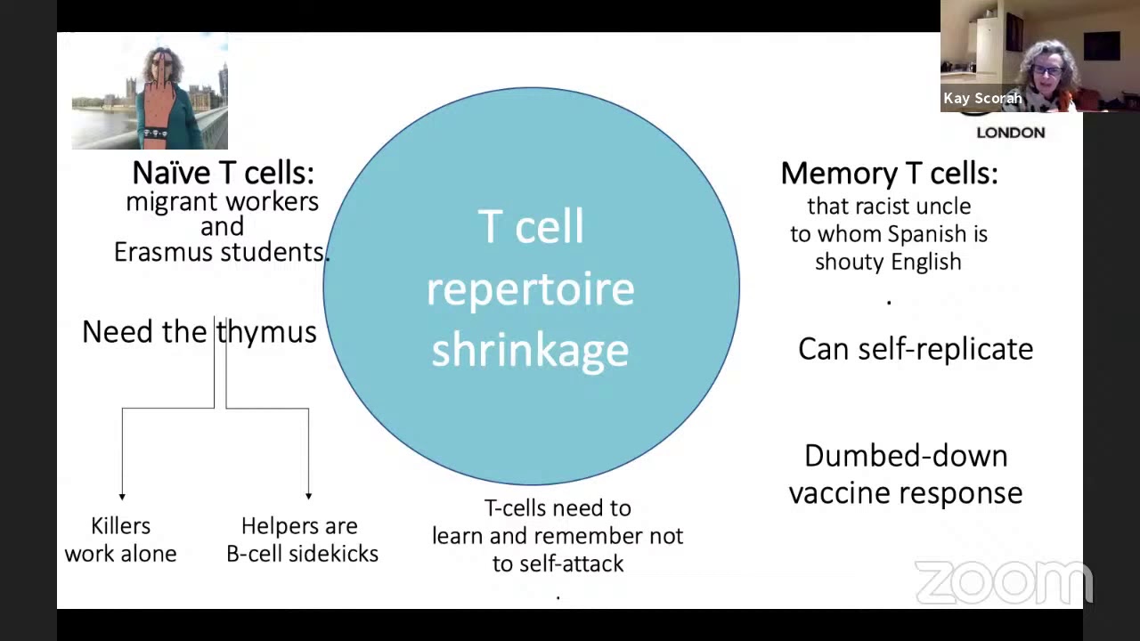 Kay Scorah - Immunosenescence (Nerd Nite London 20th January 2021 ...