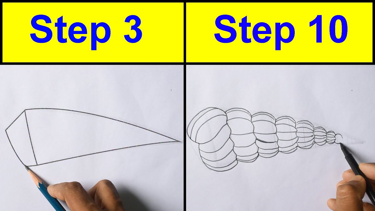 Sea Snail Art: Step-by-Step Pencil to Pen Line Drawing Tutorial - YouTube